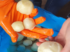 Canada Fruit QC Inspection Services | Goodada QC