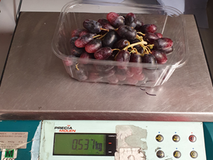 Egypt Fruit Quality Surveyor Inspection |Goodada