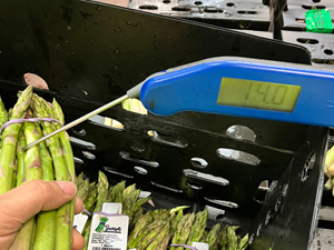 Ethiopia Fruit Inspection Services |Goodada