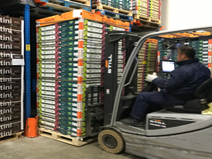 France Quality Control | France Inspections