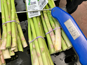 Thailand Fruit Quality Inspection | Goodada