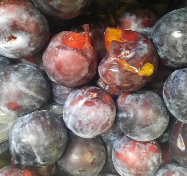 Saudi Arabia Fruit Inspection Surveyor| Goodada