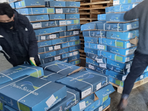 Thailand Quality Sorting Services| Goodada