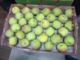 Turkiye Fruit Inspection Surveyor | Goodada Inspections