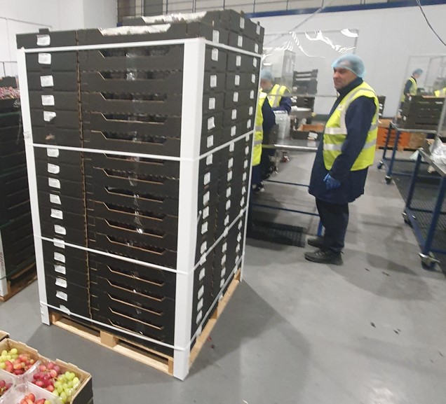 UAE Fruit Inspection| Goodada Inspections