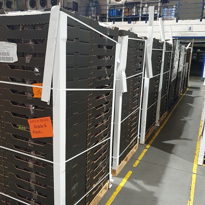 Vietnam Fruit Inspection Survey Services | Goodada